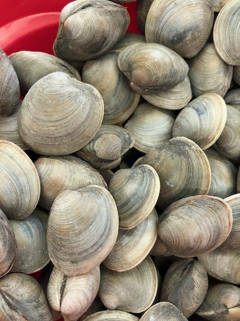 HOME [www.lewesfishhouse.com]