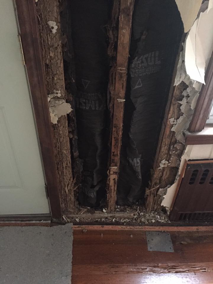 Signs Of Termites | Pest Assassins