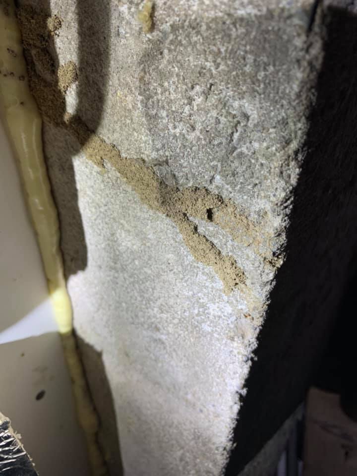 Signs Of Termites | Pest Assassins