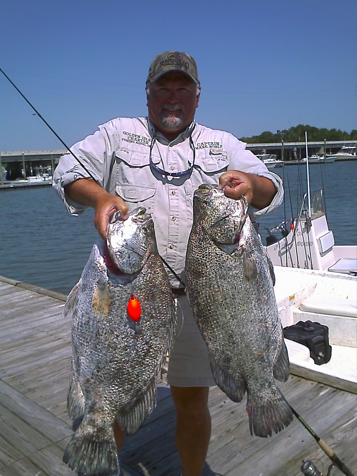 Tripletail
