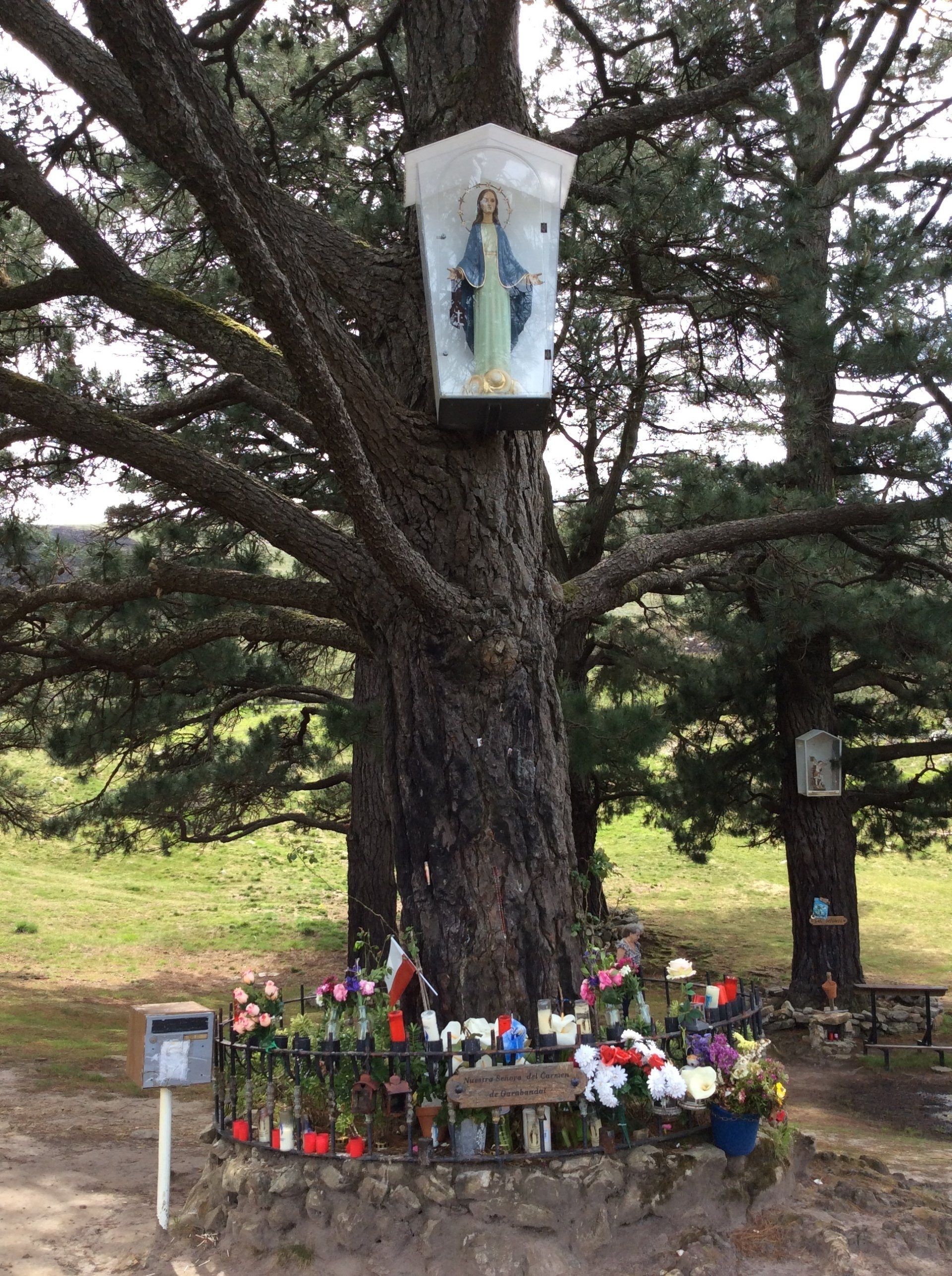 Garabandal Gallery 2019