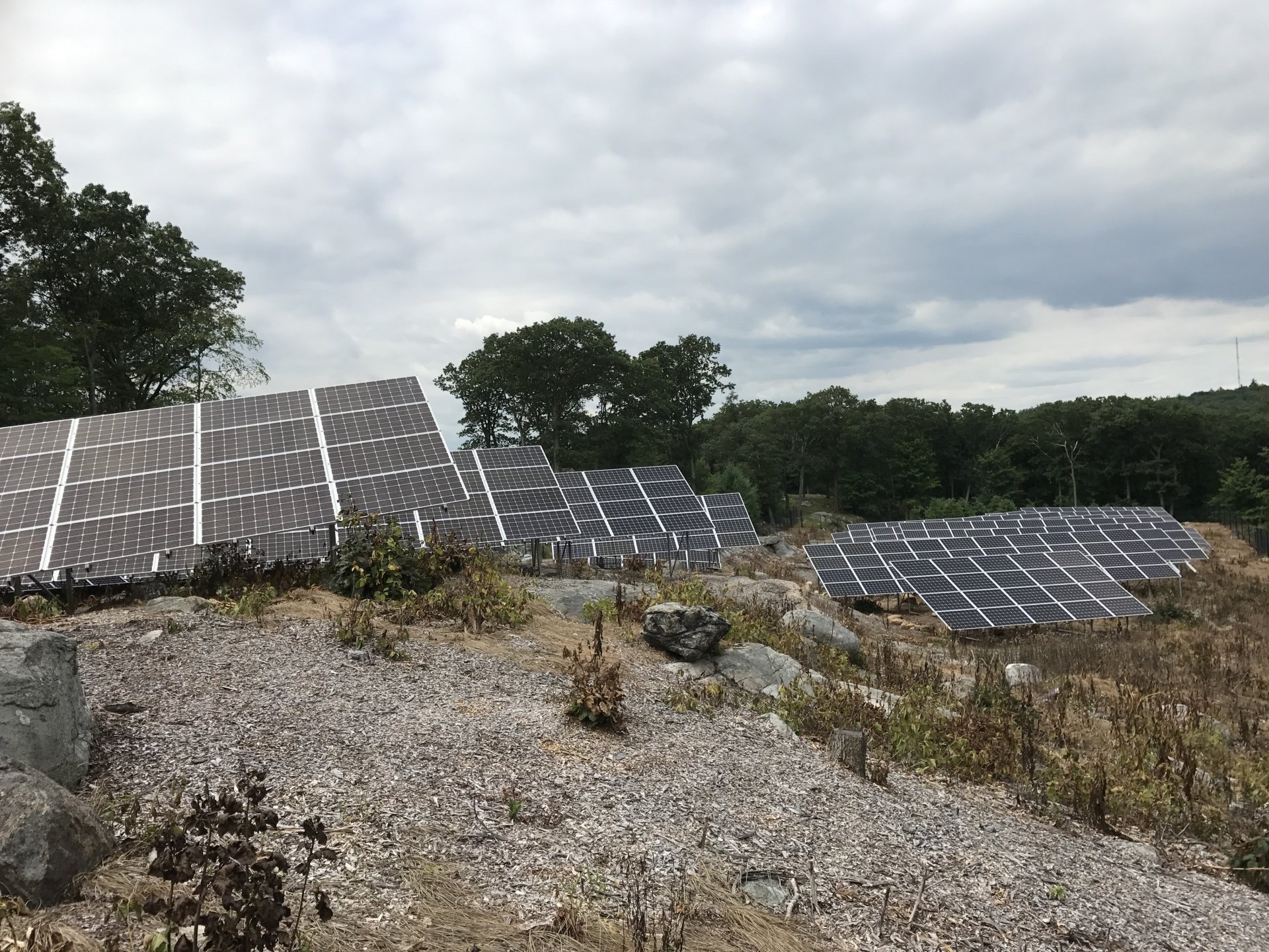 Natural Energy Solutions