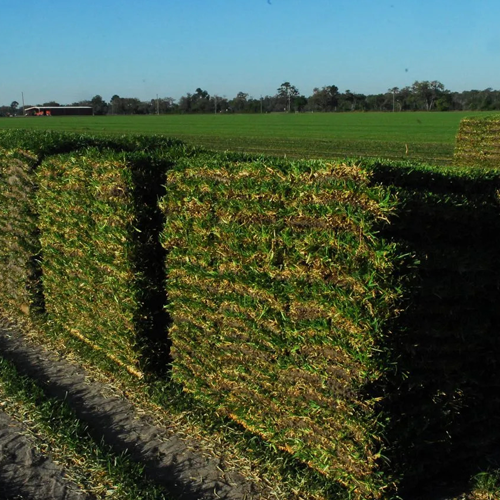 High-Quality, Farm Fresh Sod | 8 Locations near Jacksonville, FL | The ...