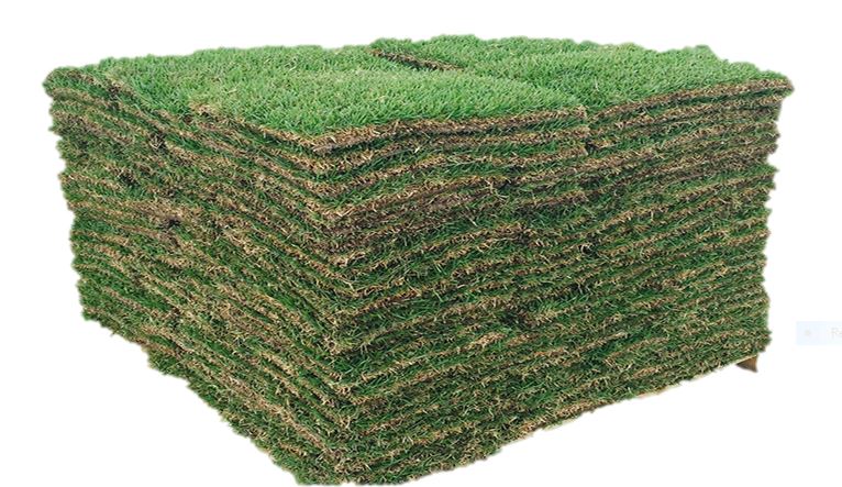 High-Quality, Farm Fresh Sod | 8 Locations near Jacksonville, FL | The ...