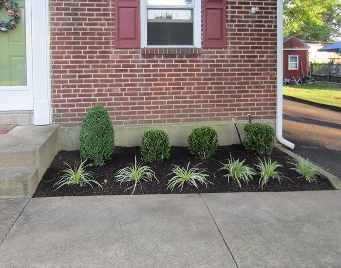 Before & After Landscaping Gallery | Pine Brook Landscaping