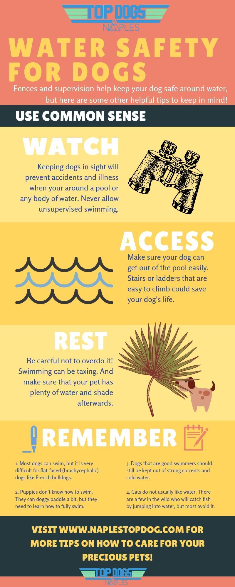 Dog safety in Water