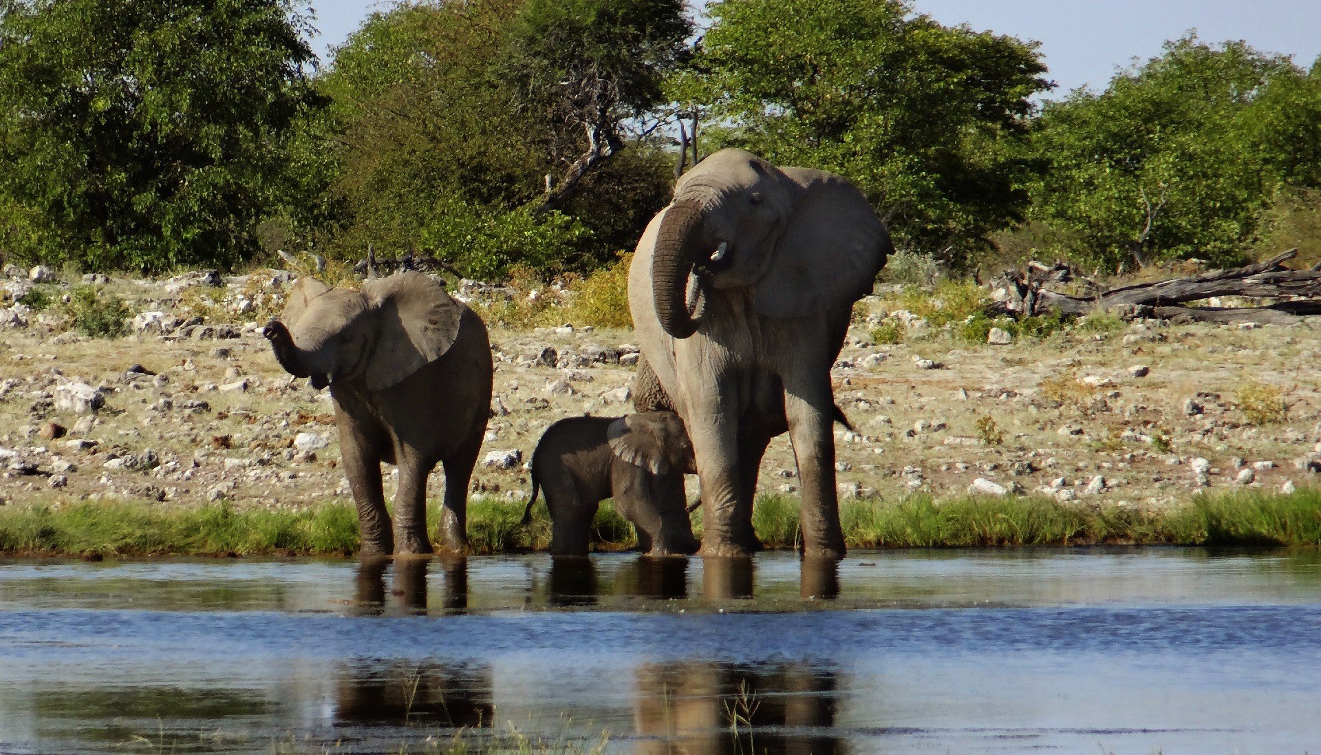 Amazing Africa - Destinations