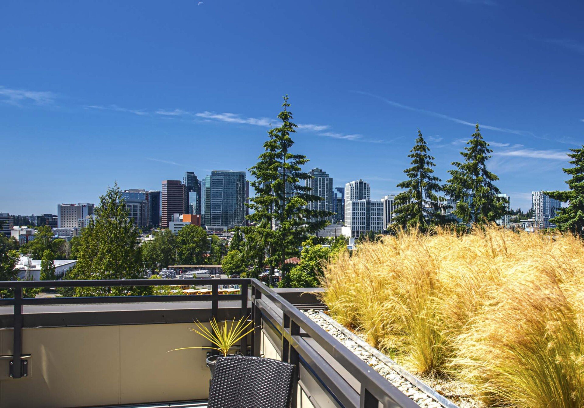Discover CityScape, A Bellevue Apartment Community