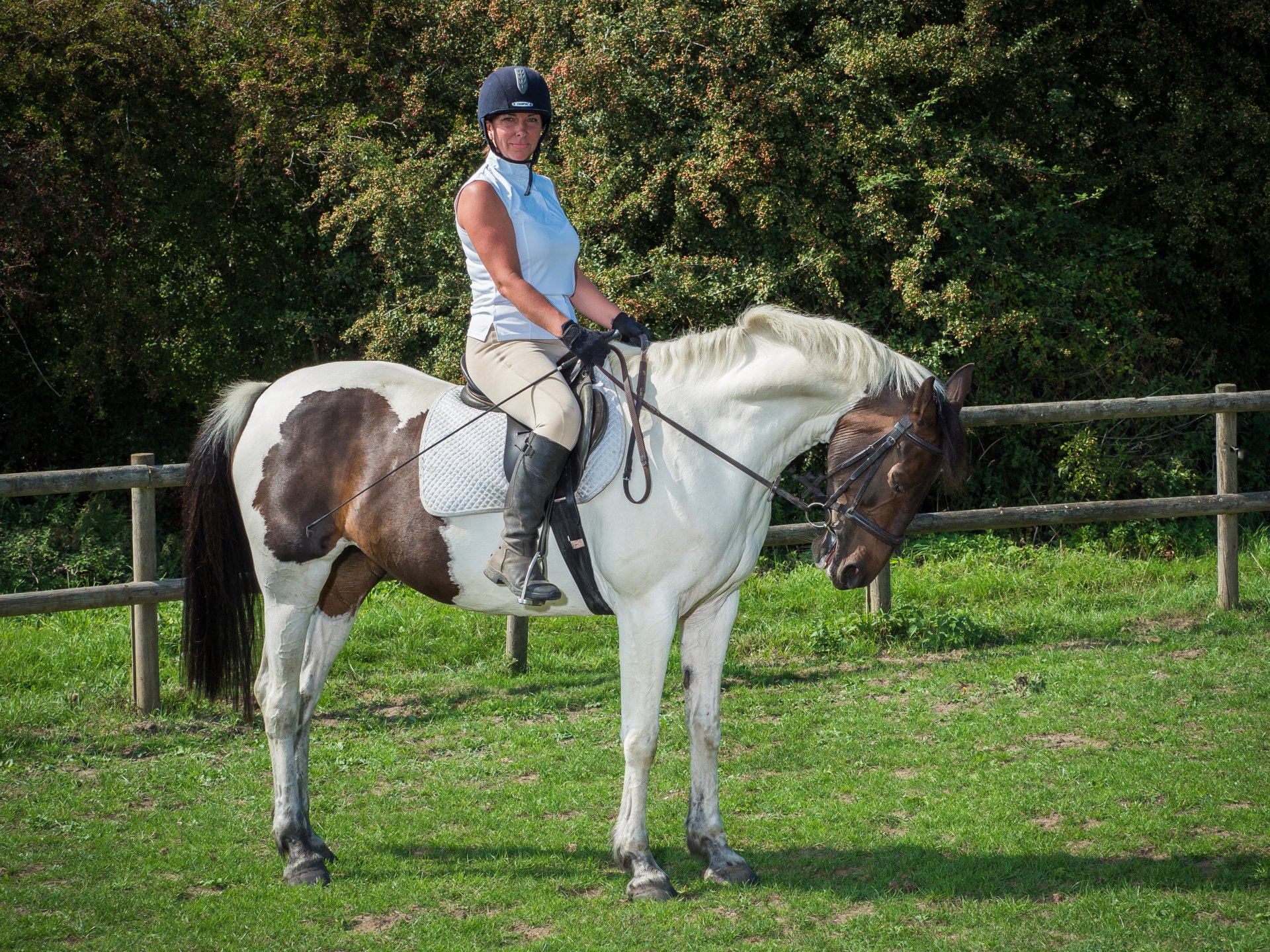 Mells Hill Equestrian Centre , Halesworth, Suffolk