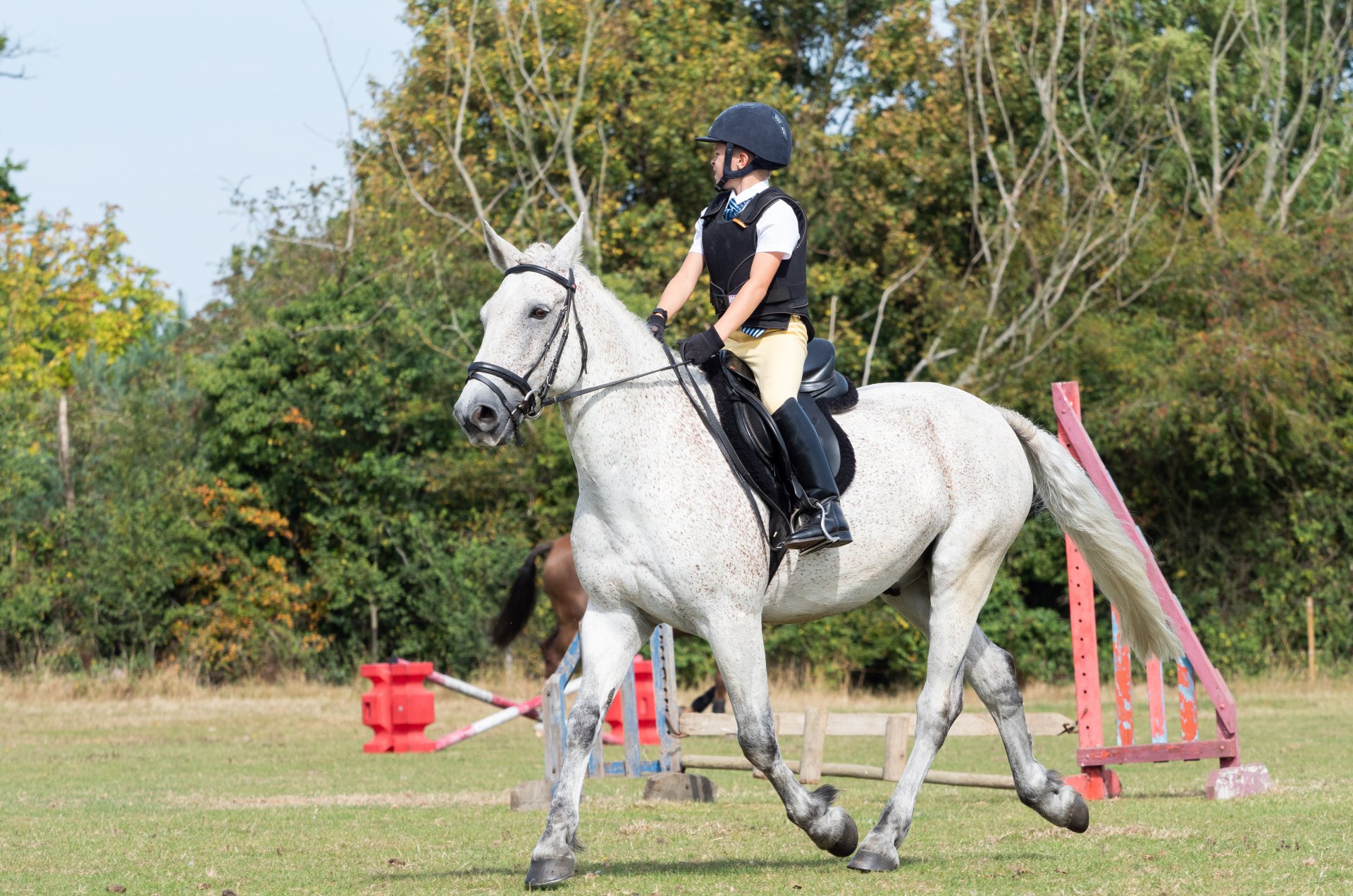 Mells Hill Equestrian Centre , Halesworth, Suffolk