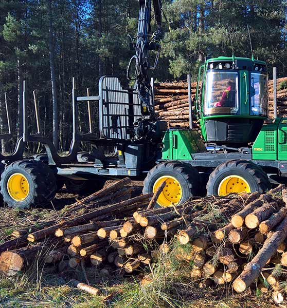 Forestry services | Powell Forestry