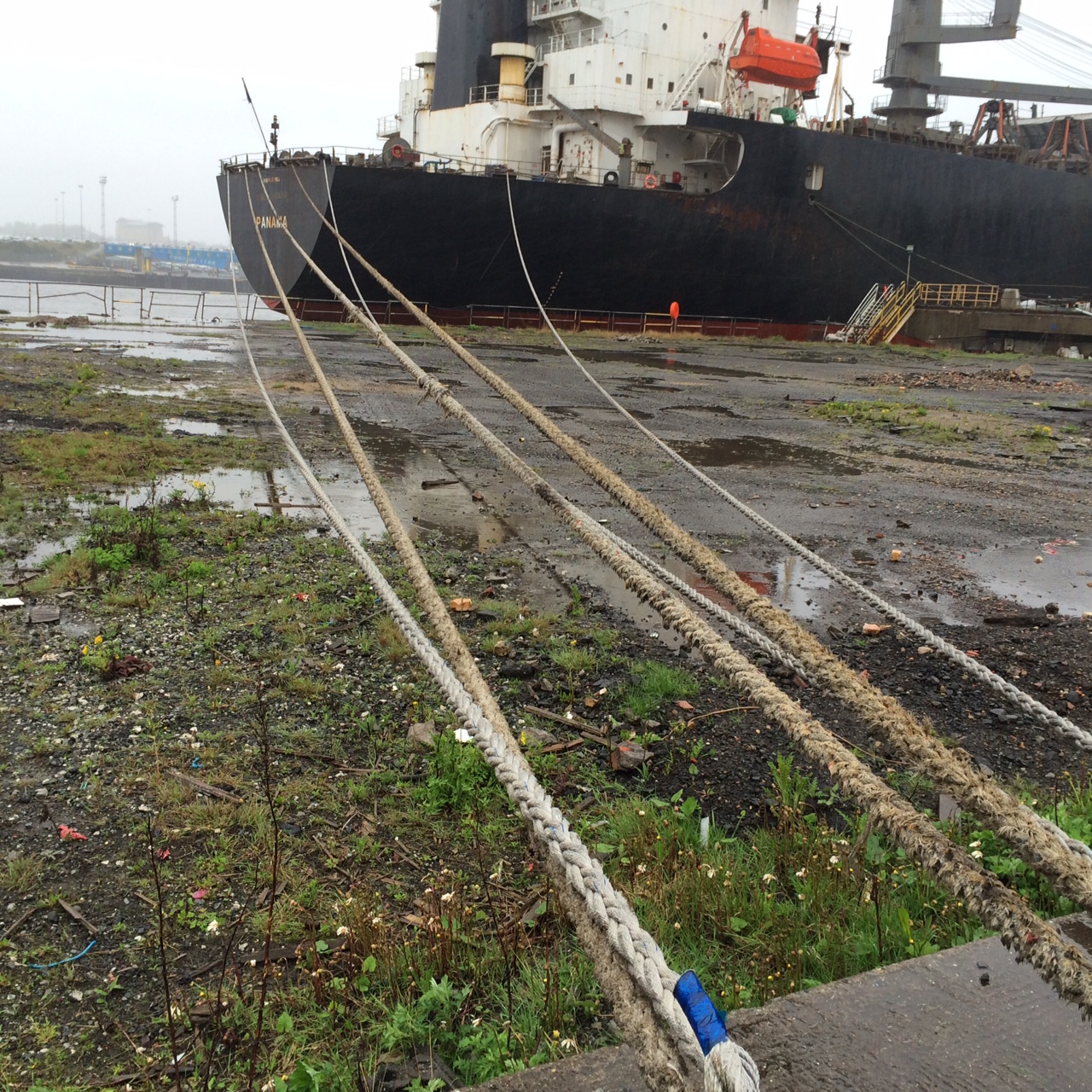 Shipmove - Moorings & Bollards