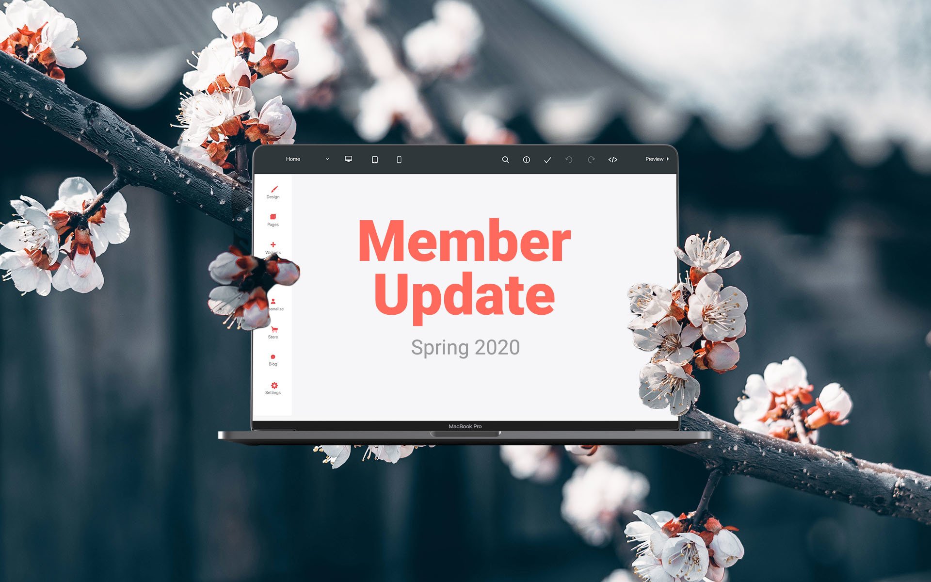 Without Code Member Update – Spring 2020