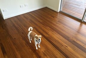 Timber Supplies in Bangalow | North Coast Timber