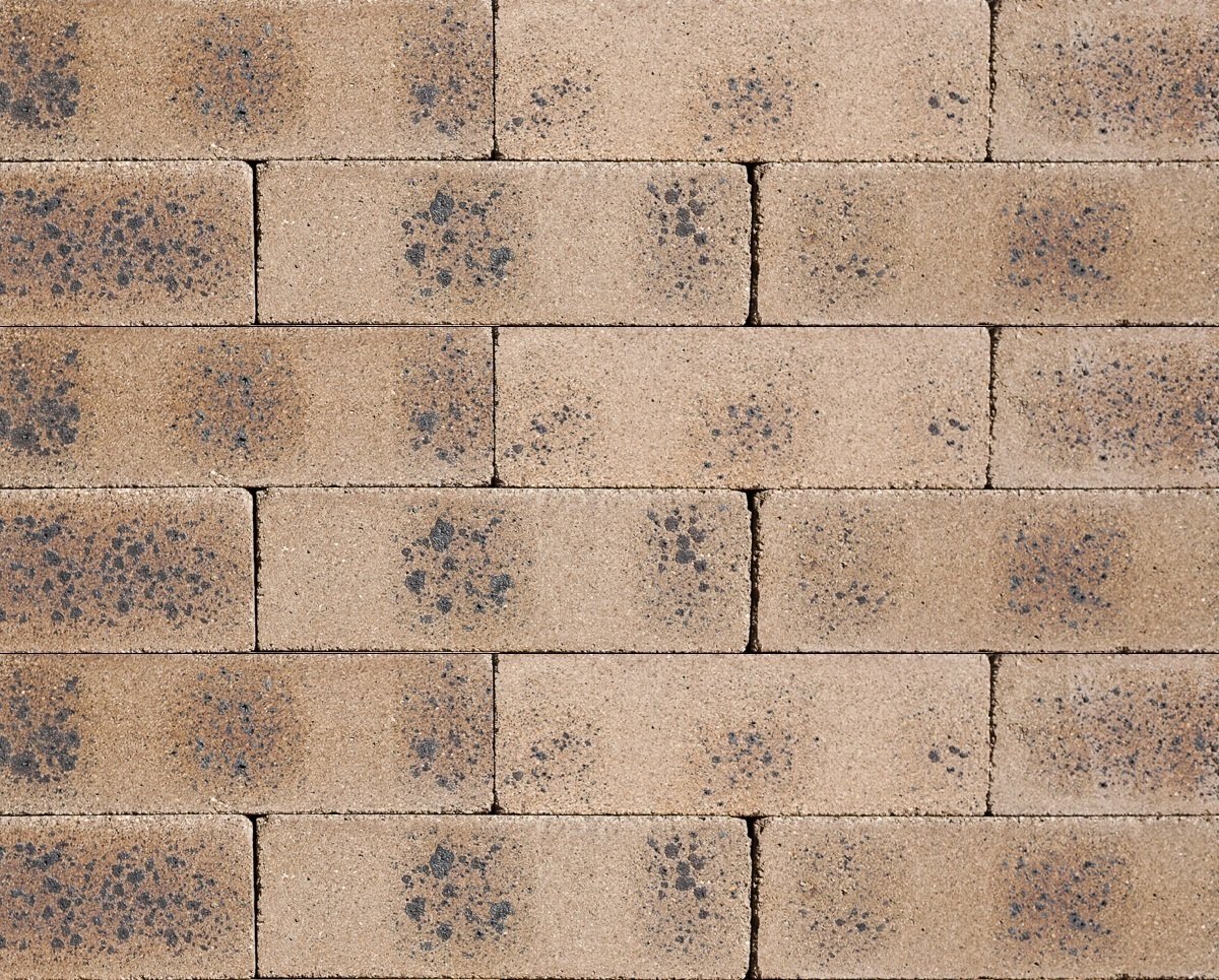 Claypave Pavers & Bricks | Apollo Landscaping