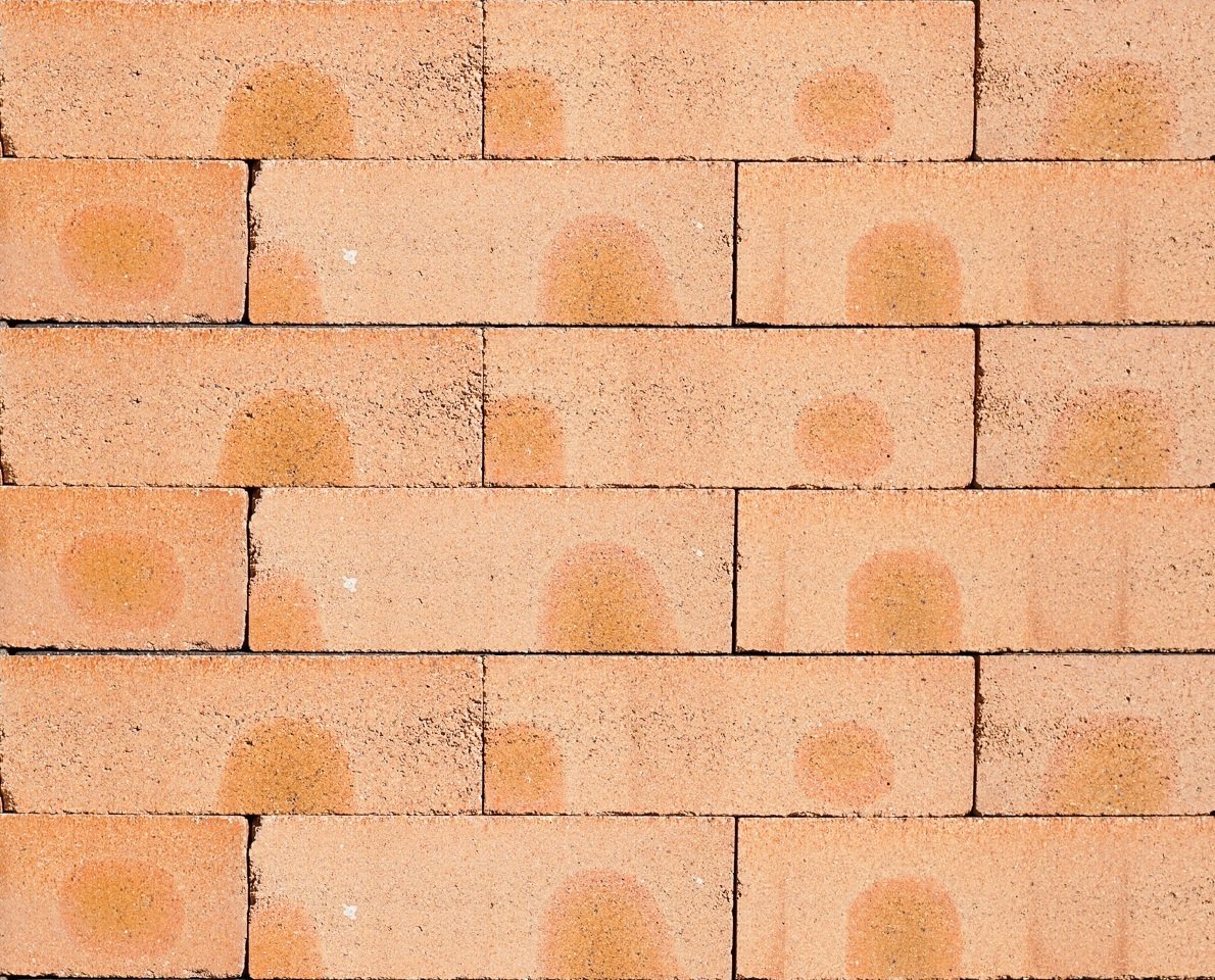 Claypave Pavers & Bricks | Apollo Landscaping