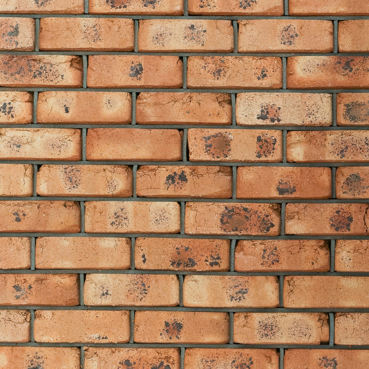 Claypave Pavers & Bricks | Apollo Landscaping