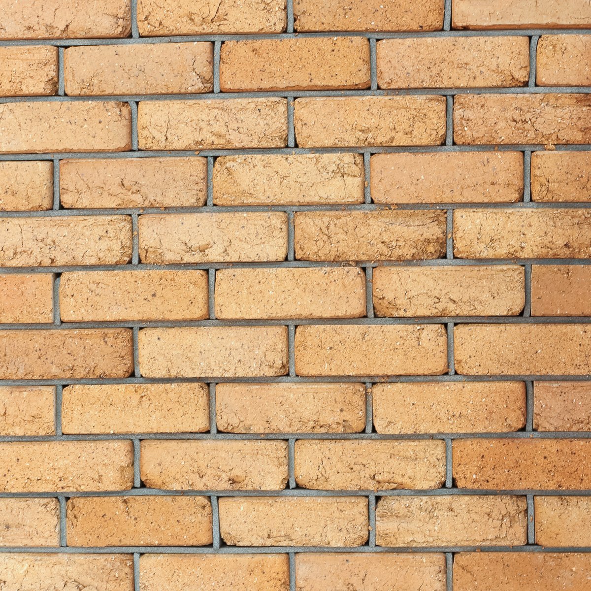 Claypave Pavers & Bricks | Apollo Landscaping