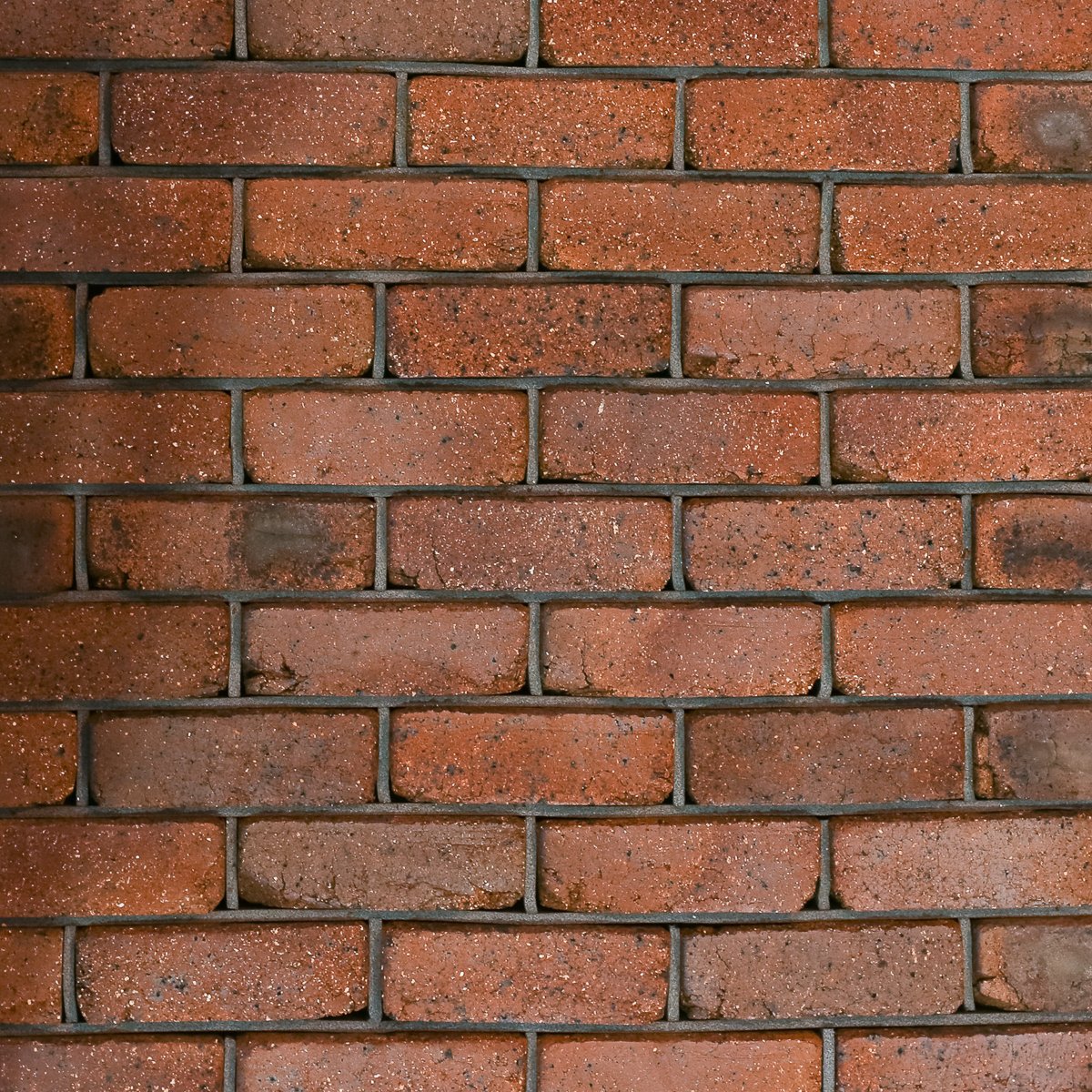 Claypave Pavers & Bricks | Apollo Landscaping