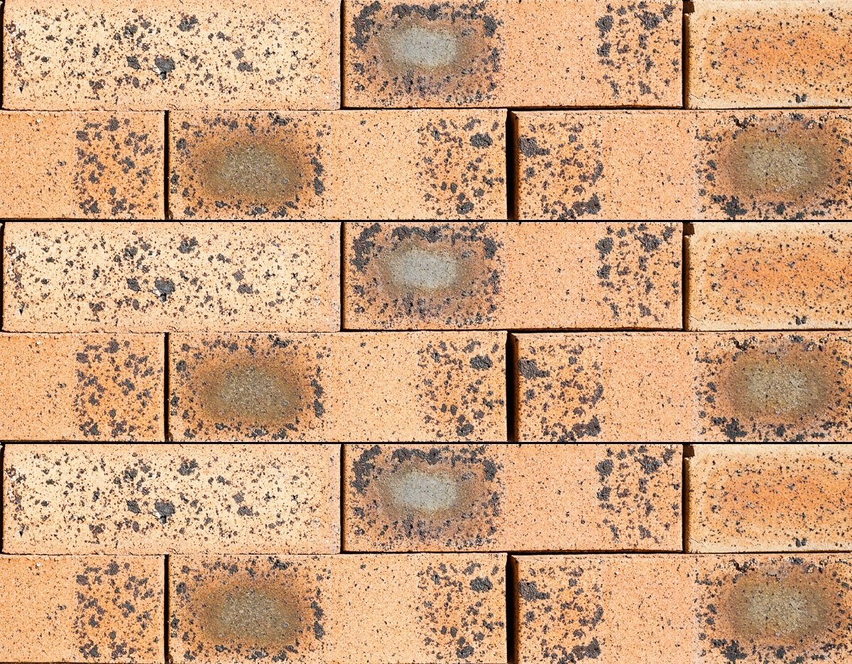 Claypave Pavers & Bricks | Apollo Landscaping