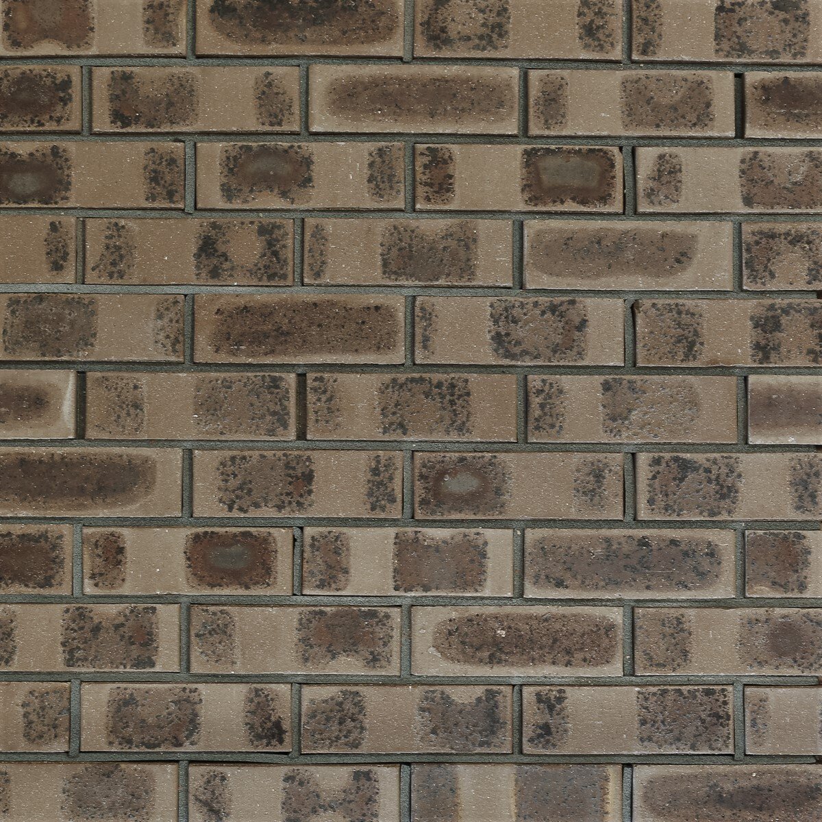 Claypave Pavers & Bricks | Apollo Landscaping