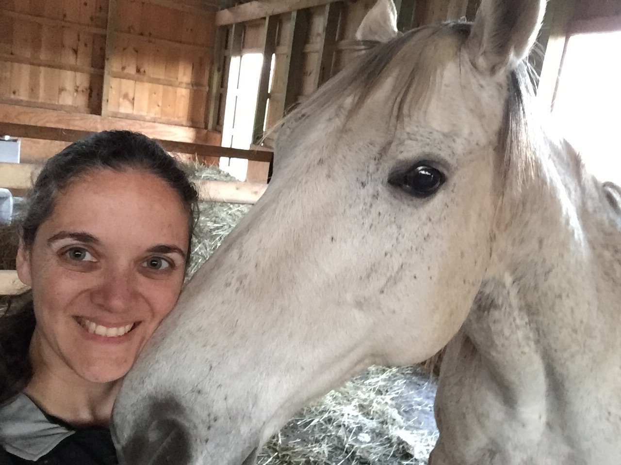 Veterinarians | Fairport Animal Hospital | Fairport, NY