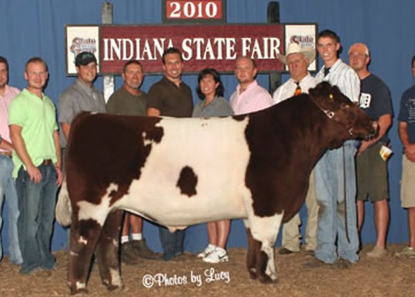 Champions | Linde's Livestock Photos