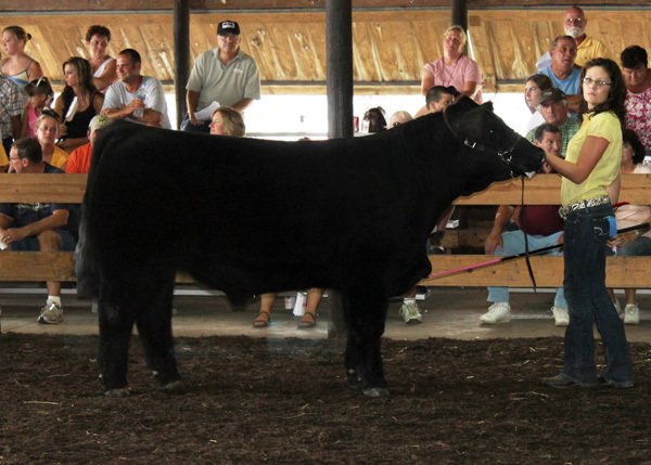 Champions | Linde's Livestock Photos