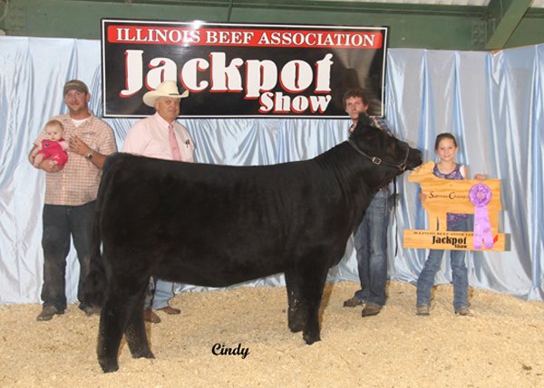 Champions | Linde's Livestock Photos
