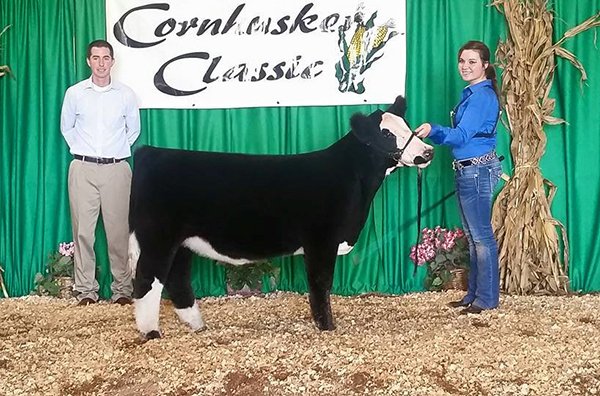 Champions | Linde's Livestock Photos