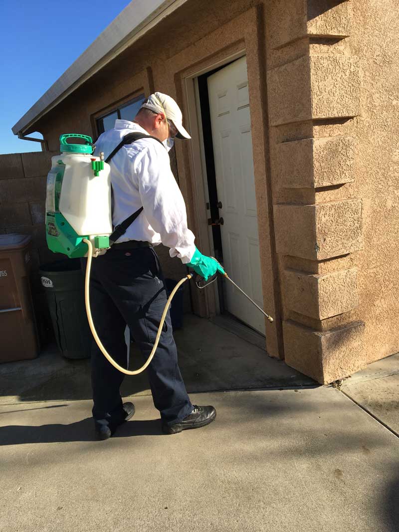 Pest Control Services| Lodi & Stockton, CA | A-1 Exterminators