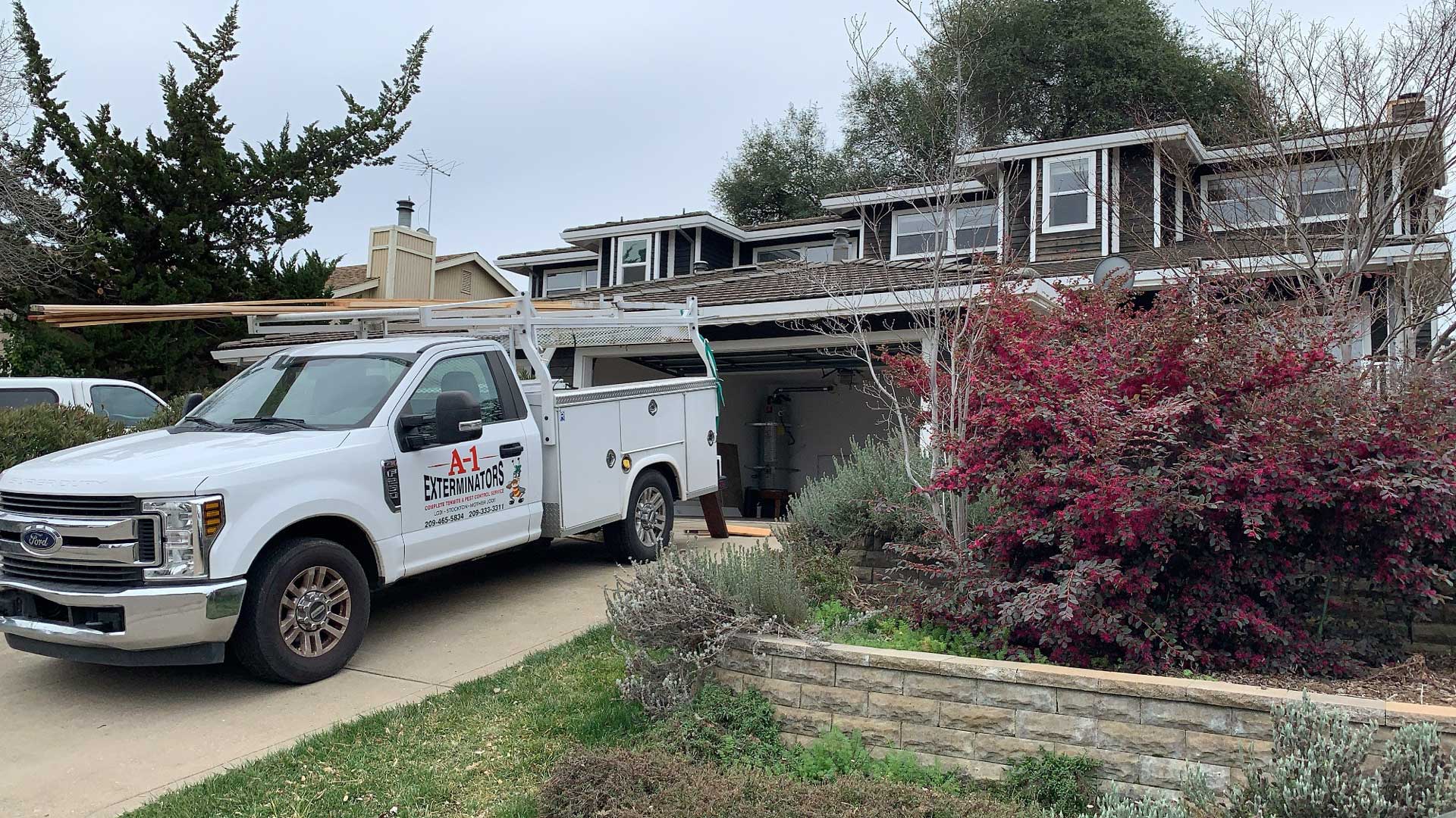 Rodent Control Services| Lodi & Stockton, CA | A-1 Exterminators