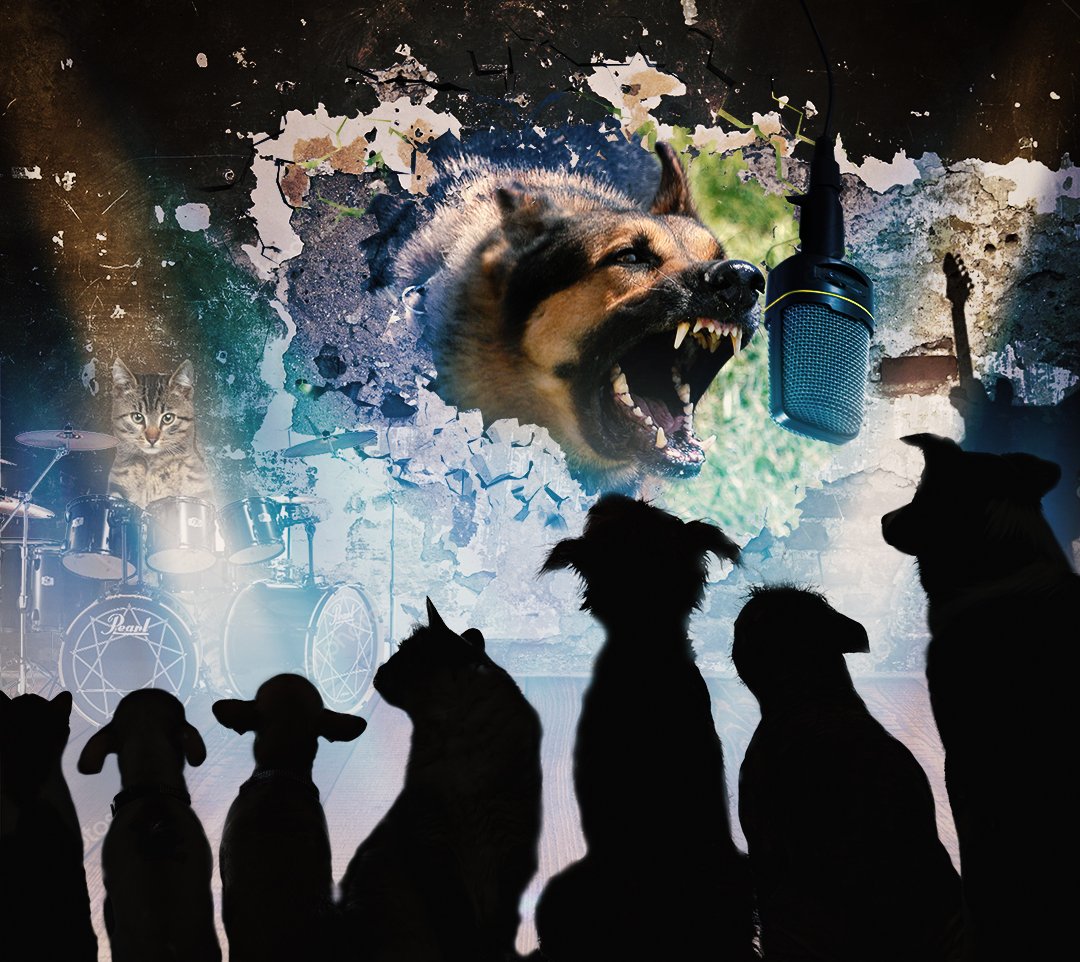 Michael Jackson Pet Photography - Vero Beach, Los Angeles