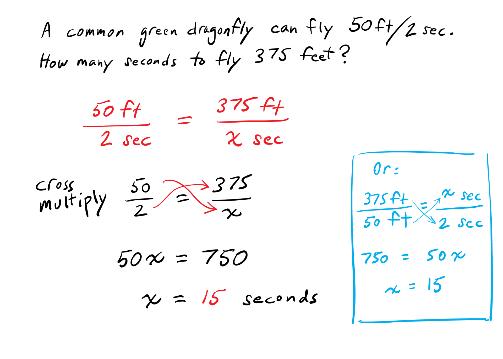 Drag Racer Dragonfly | Poster Problems