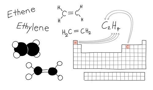 Challenges Of Science Text Reading To Learn In Science