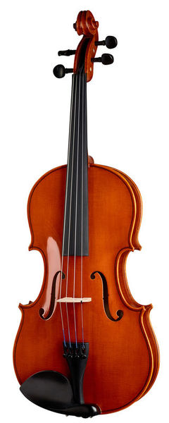 Violini, Violoncelli, Viola, Contrabbasso | Palermo | Sicilia | Sacco ...