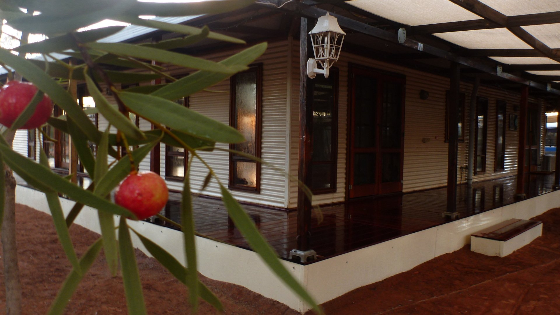 Red Centre Devil Lager