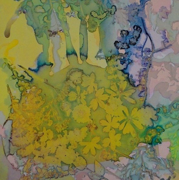 David Booth MRSS Paintings