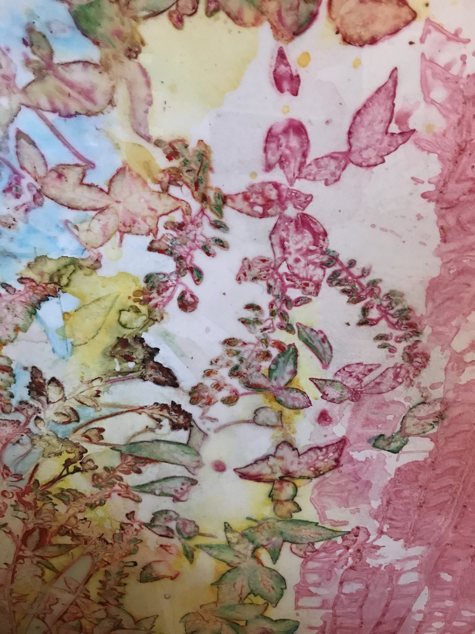 David Booth MRSS Paintings