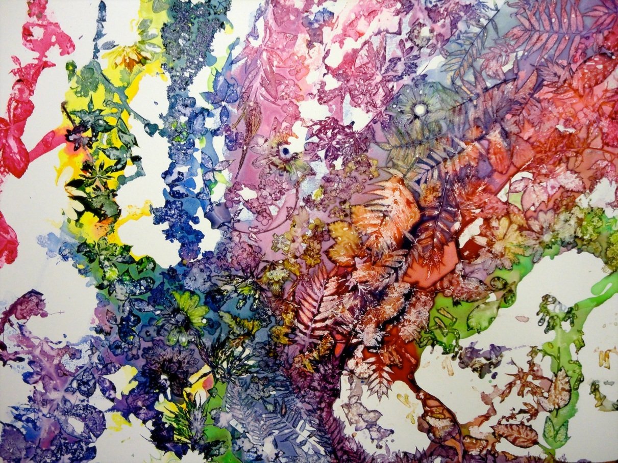 David Booth MRSS Paintings