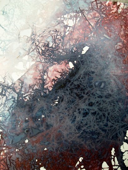 David Booth MRSS Paintings