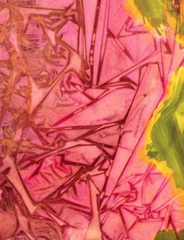 David Booth MRSS Paintings