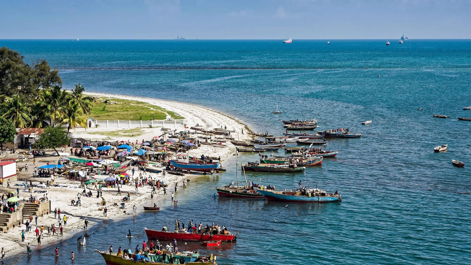 Tanzania Southern Circuit - Predators Safari Club