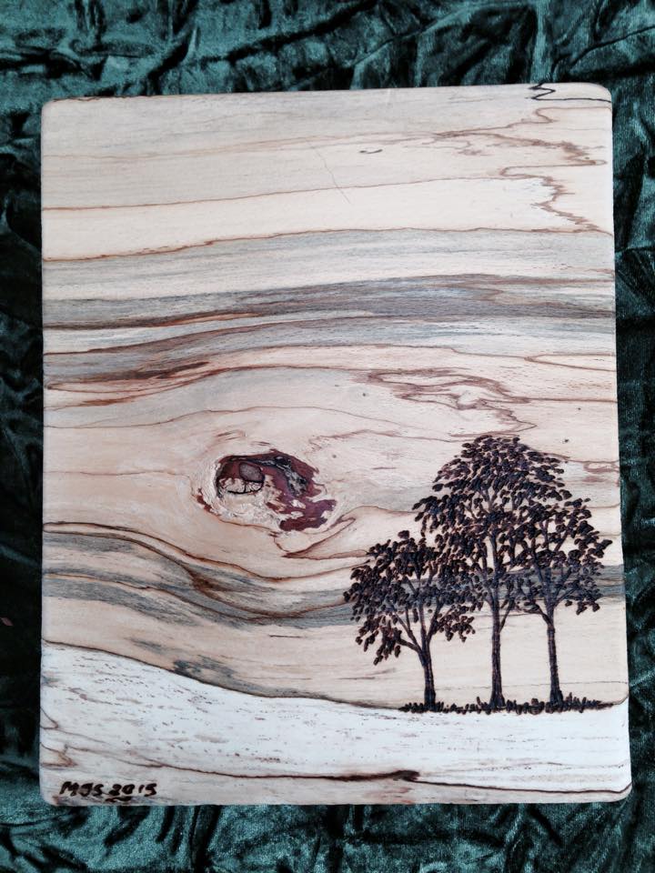 GALLERY - TREES