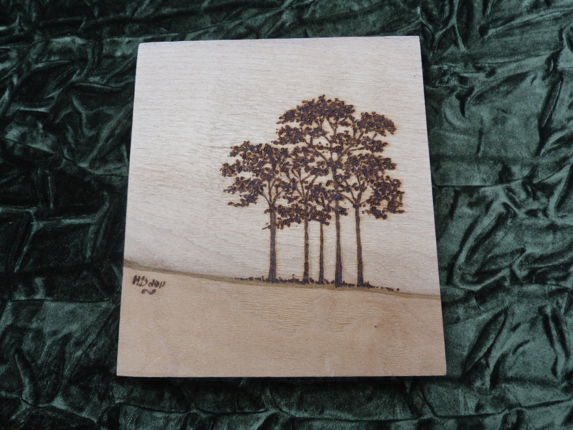 GALLERY - TREES