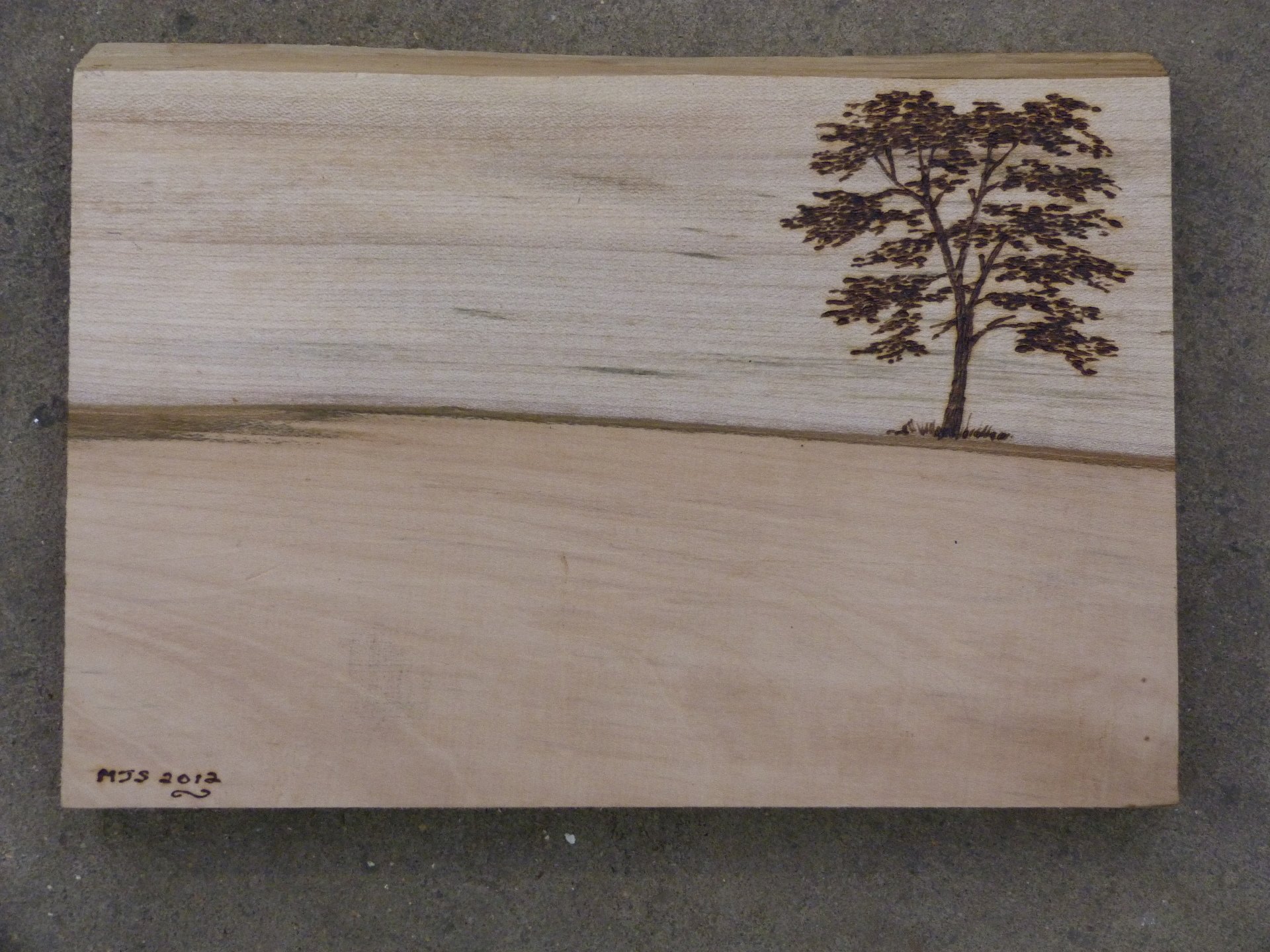 GALLERY - TREES