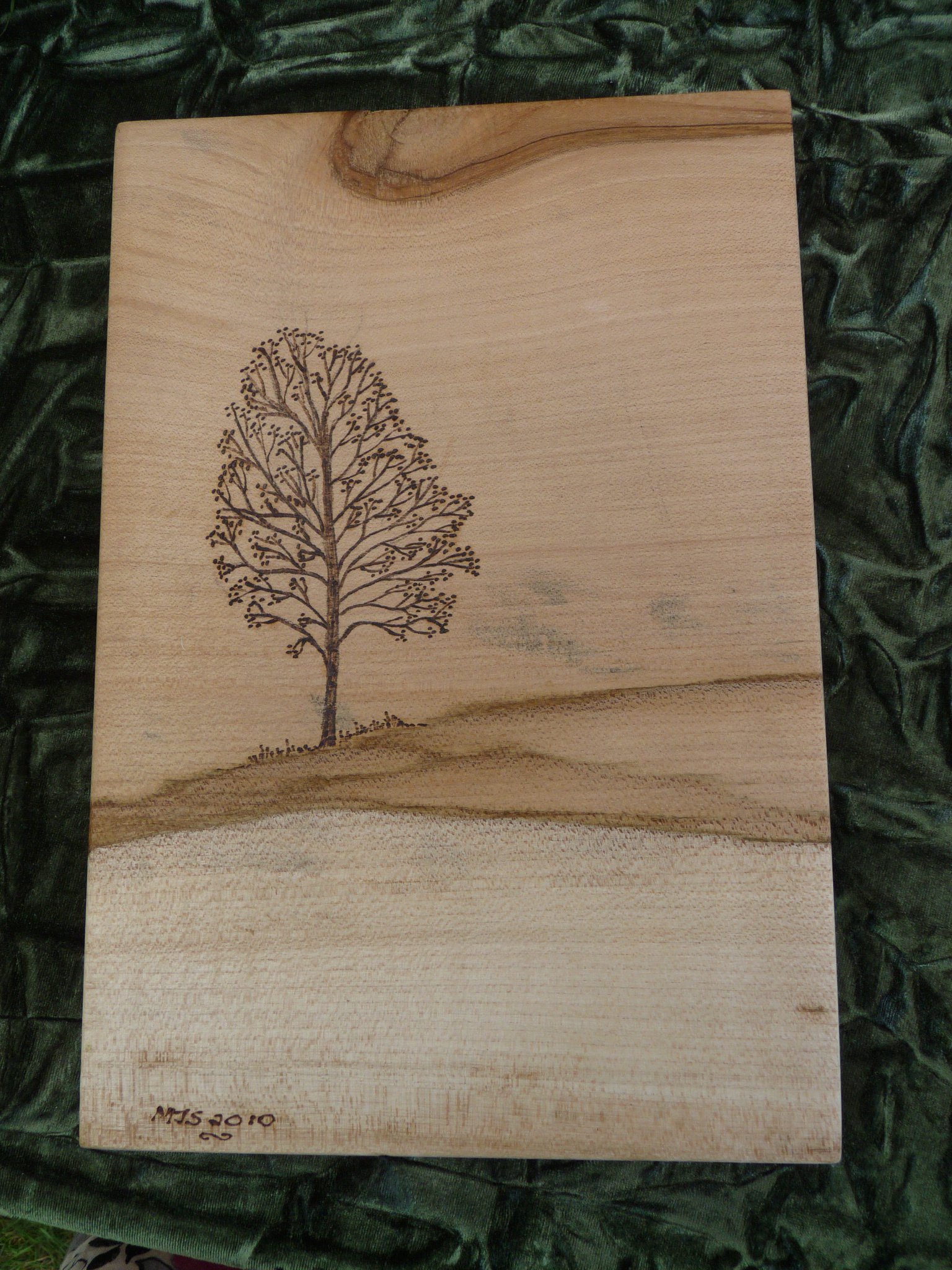 GALLERY - TREES