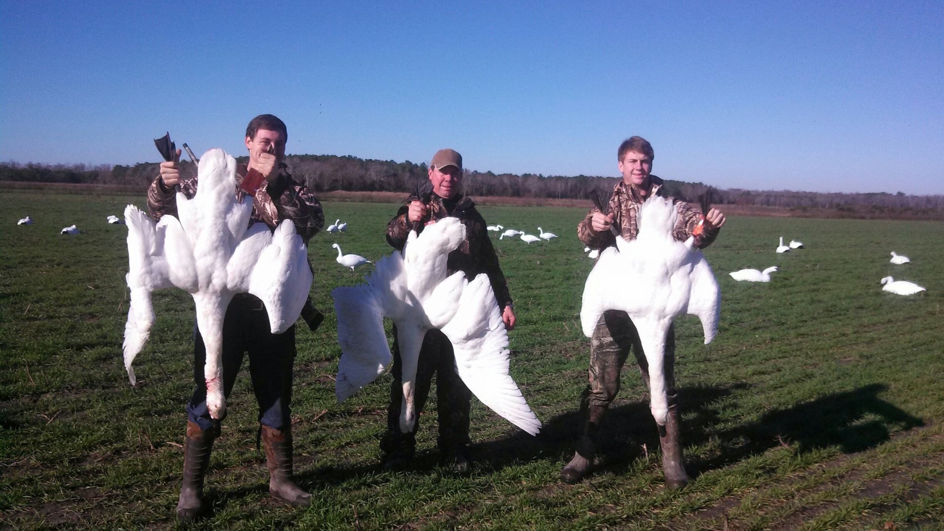NC duck hunt, North Carolina Duck hunting Guide, Swan Hunting