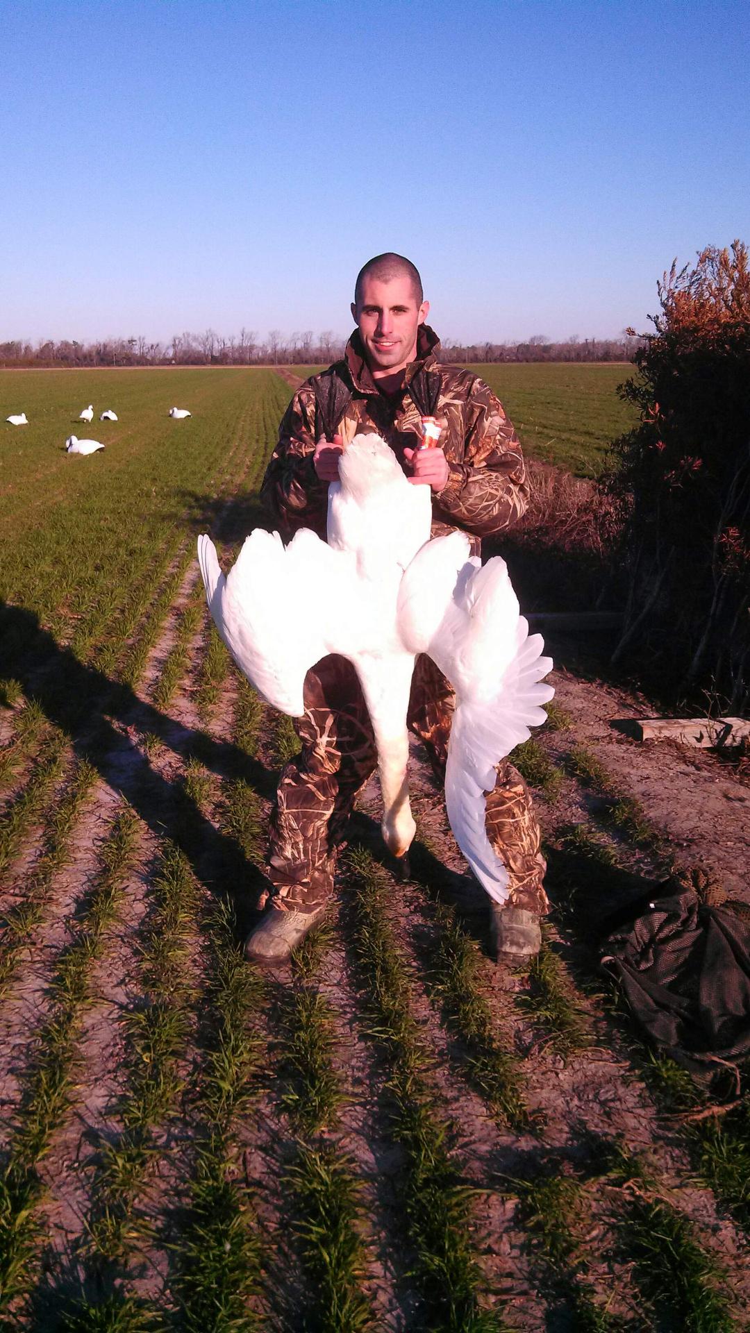 NC duck hunt, North Carolina Duck hunting Guide, Swan Hunting