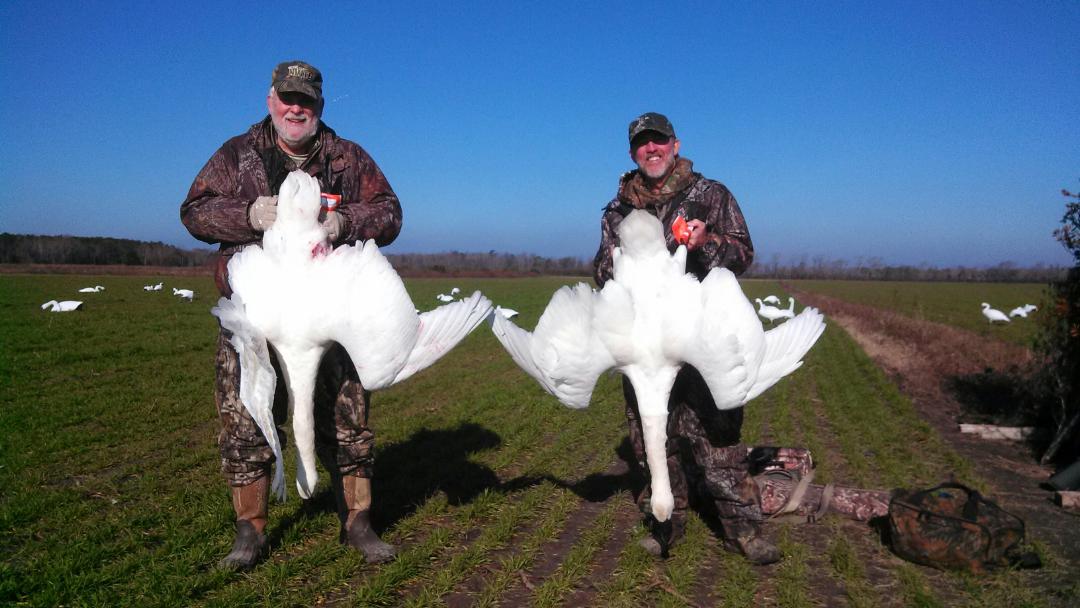 NC duck hunt, North Carolina Duck hunting Guide, Swan Hunting